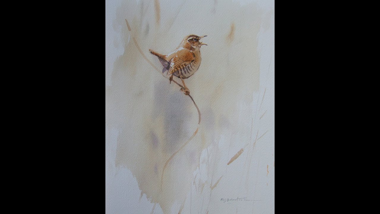 Demo Painting Of Painting A Wren | Wildlife and Animal Artist