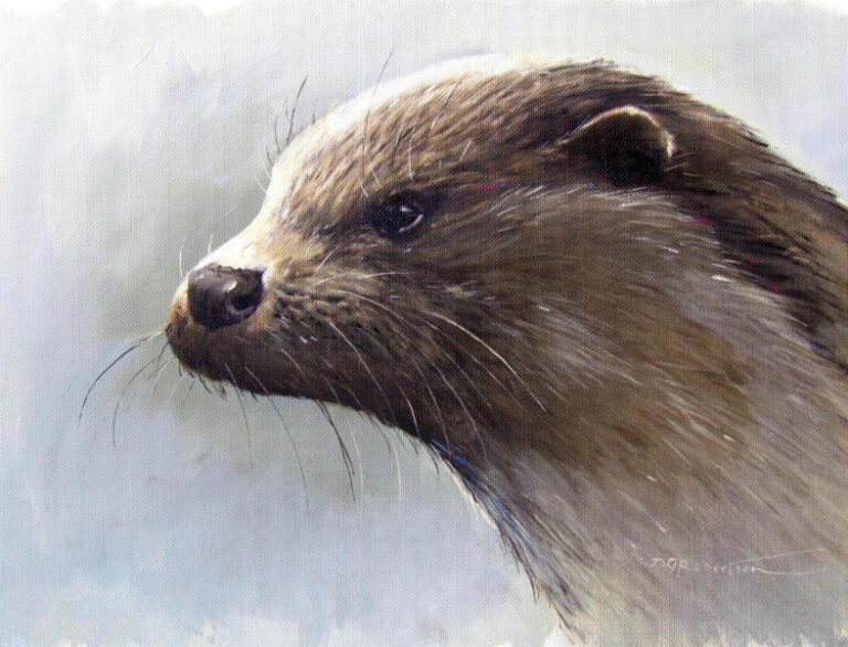 Otter Portrait | Wildlife and Animal Artist