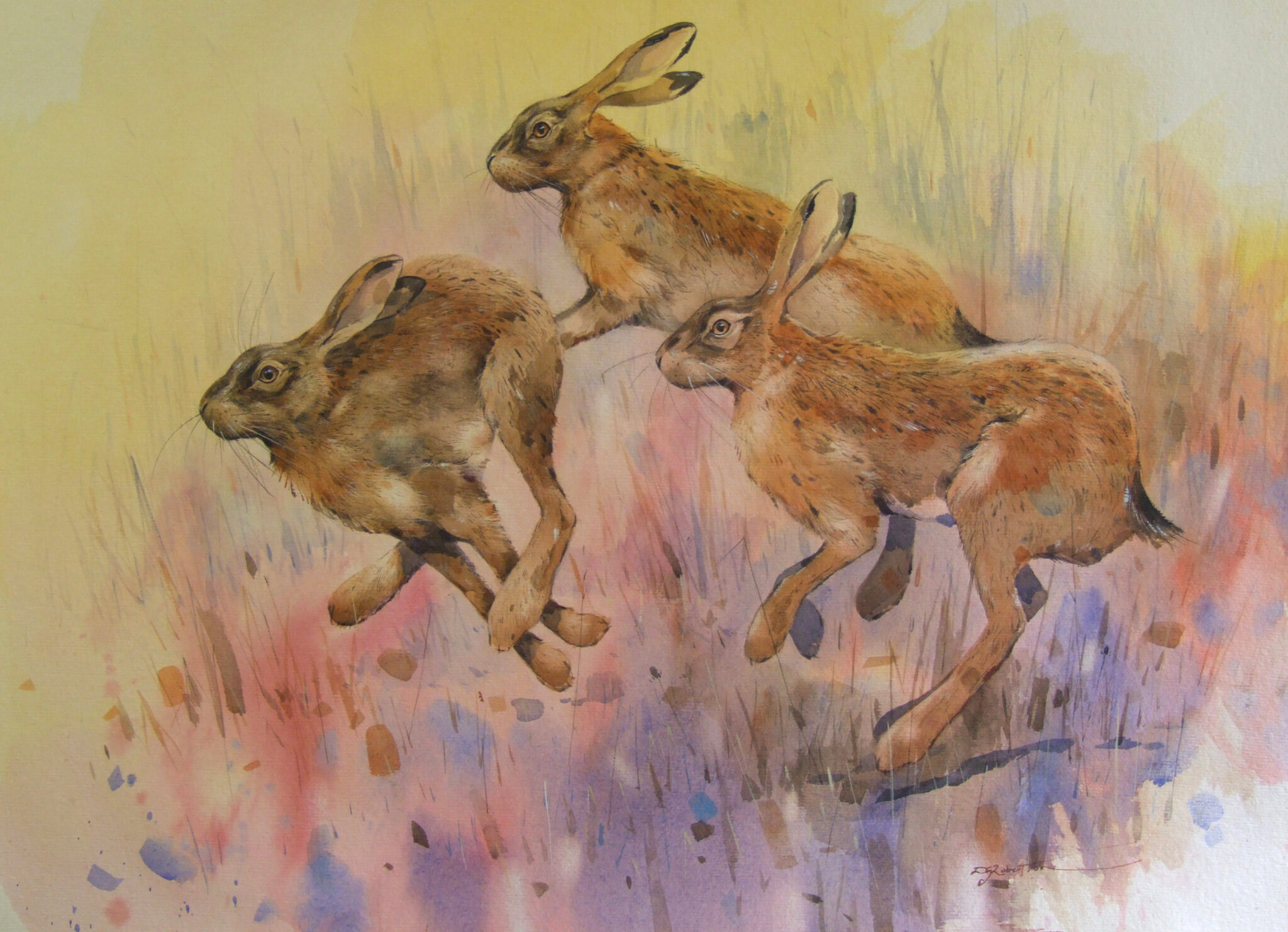 Running Hares | Wildlife and Animal Artist