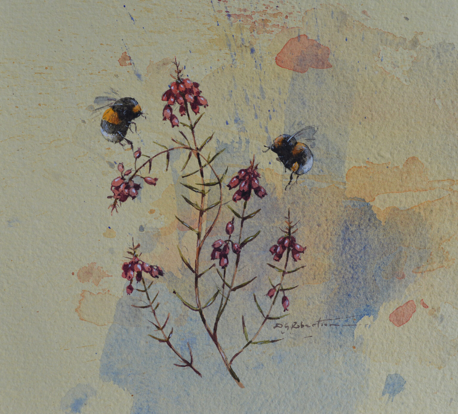 Bees And Bell Heather | Wildlife and Animal Artist